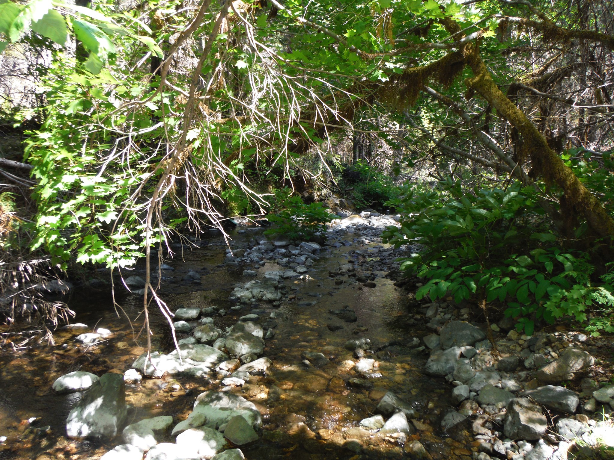 Solider Creek – Republic Mining