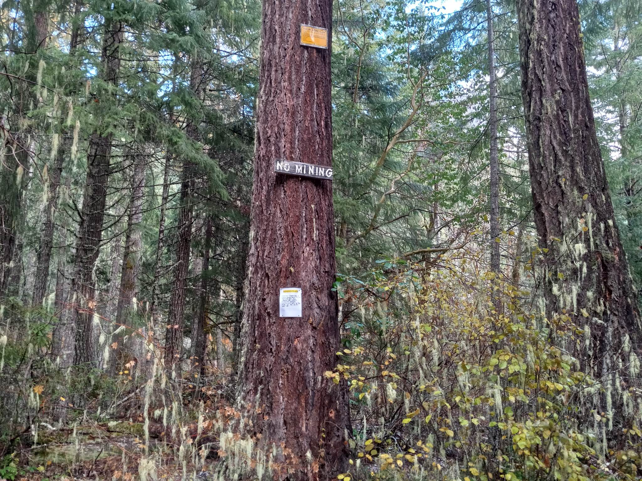 Grave Creek – Republic Mining