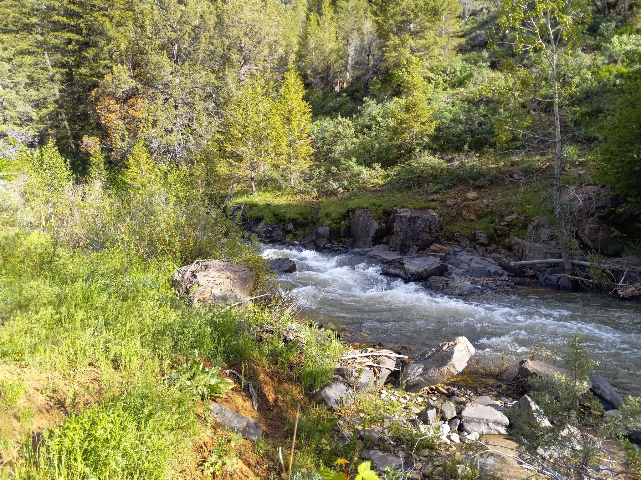 Jordan Creek – Republic Mining