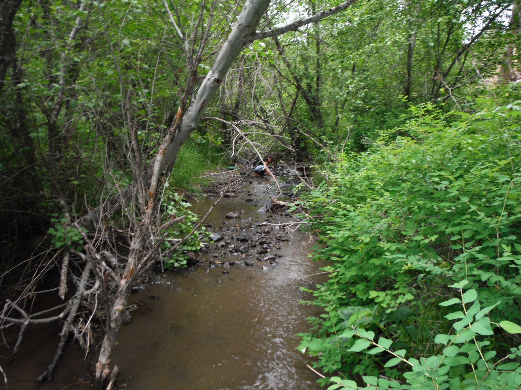 Ochoco Creek – Republic Mining