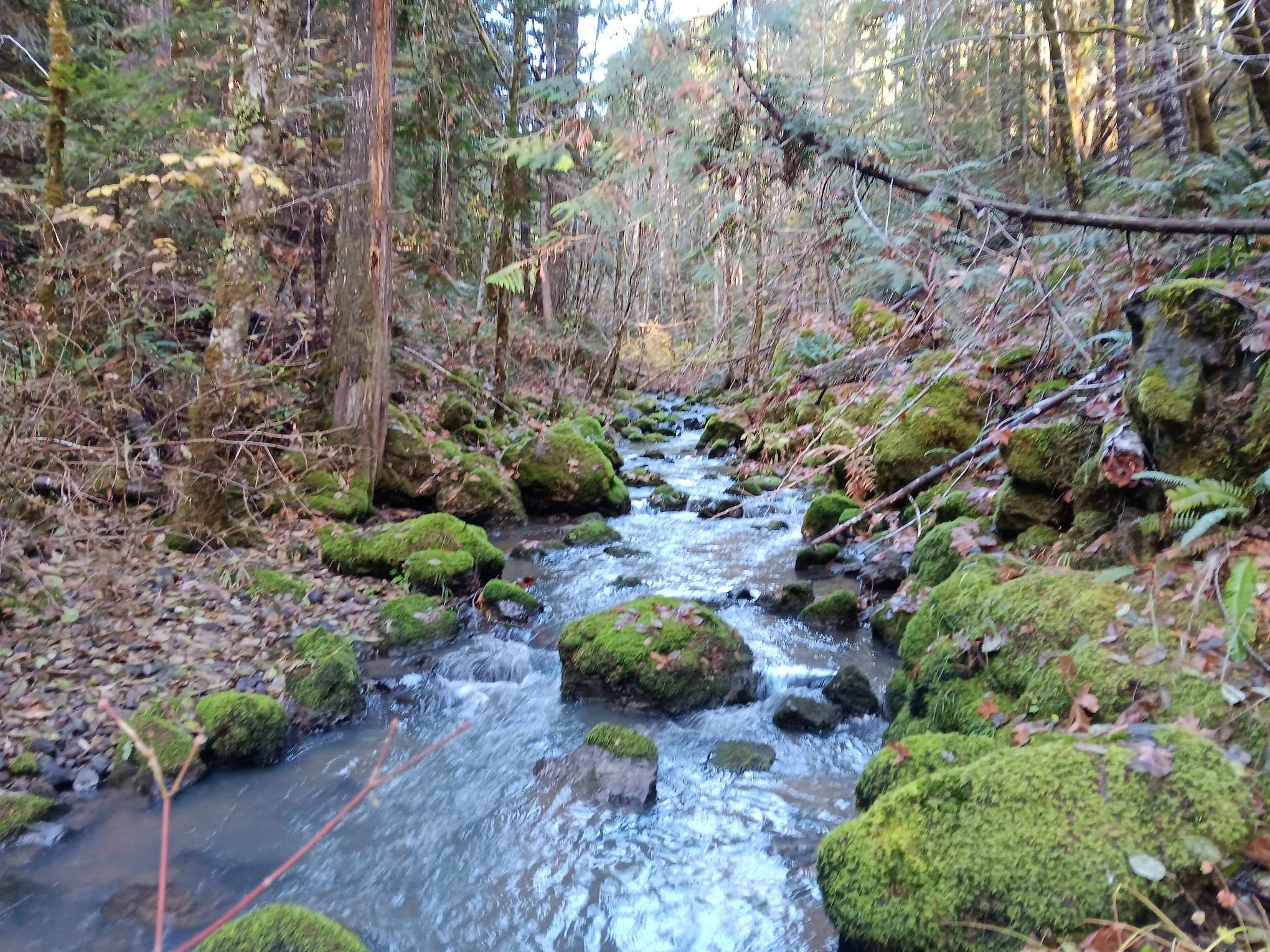 Union Creek – Republic Mining